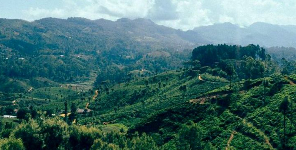 Explore Colombo: Top 10 Cool Things to Do in Sri Lanka's Capital