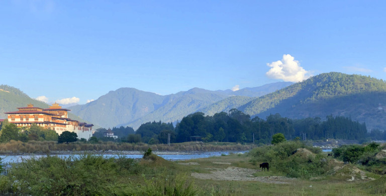 Bhutan Unique Flora and Fauna| Bhutan Bio Diversity