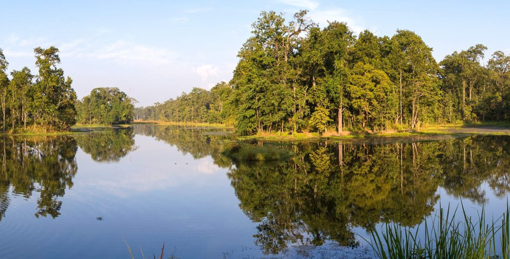 Explore Chitwan: Top Activities & Cultural Experiences in Nepal's Wildlife Haven