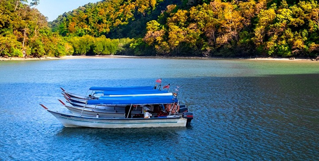 Explore Malaysia: Top Attractions and Unforgettable Activities