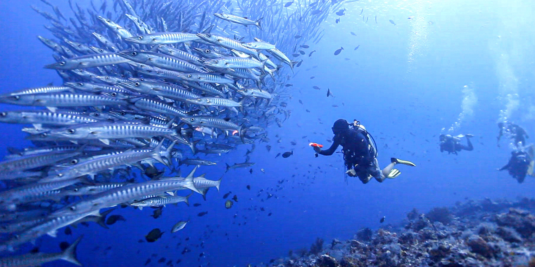 Adventure in Malaysia: Ultimate Guide to Exhilarating Outdoor Activities