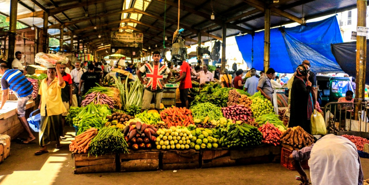 Explore Colombo: Top 10 Cool Things to Do in Sri Lanka's Capital