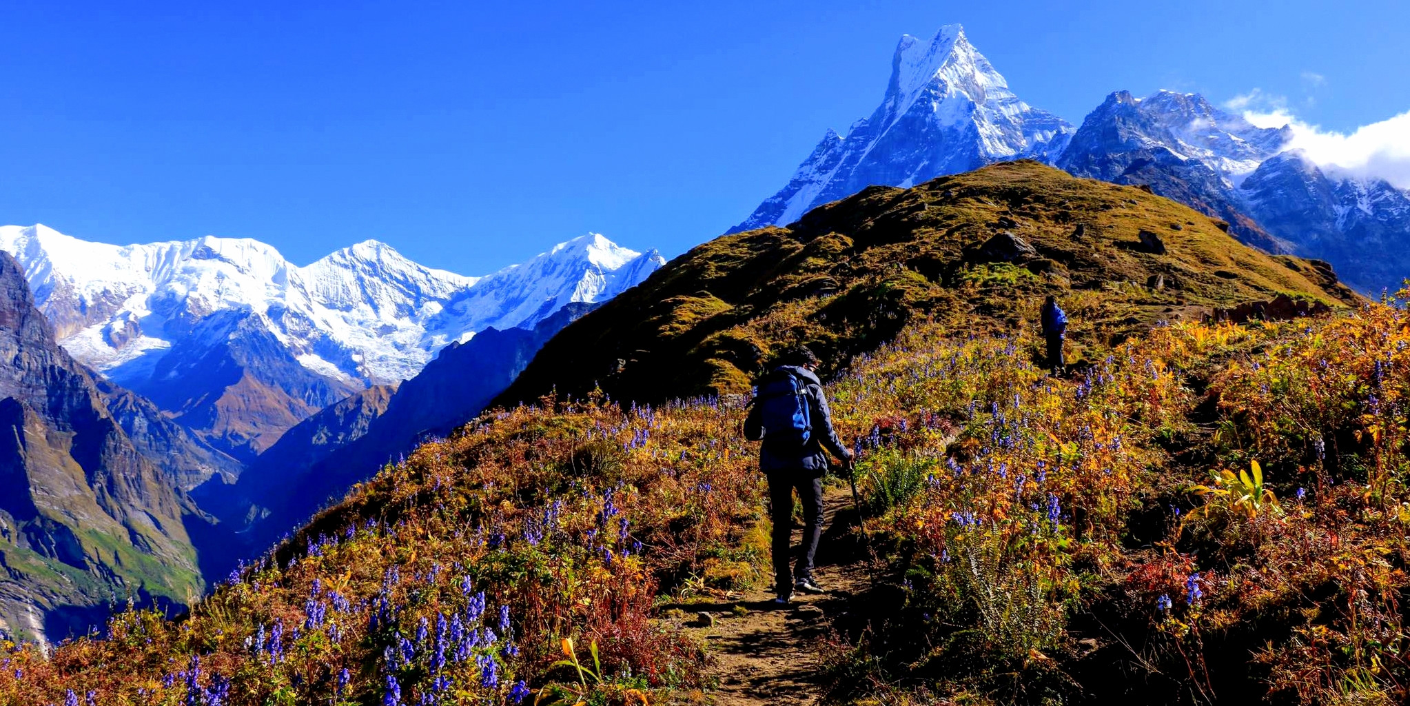 Beginner Treks in Nepal: A Starter Guide for First-Time Trekkers