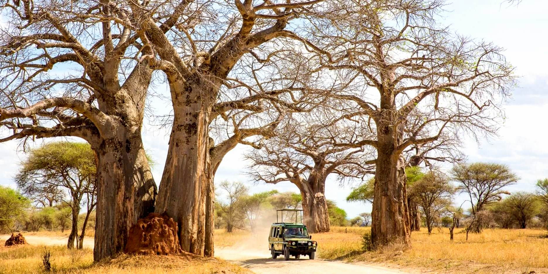Discover Tanzania: Top Tourist Attractions and Unmissable Destinations