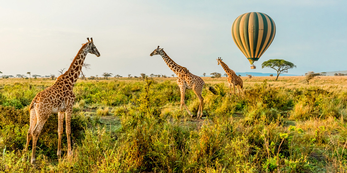 Discover Tanzania: Top Tourist Attractions and Unmissable Destinations