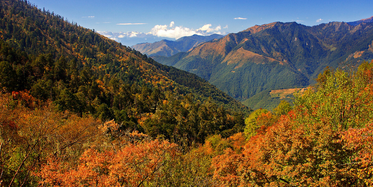 Bhutan Unique Flora and Fauna| Bhutan Bio Diversity