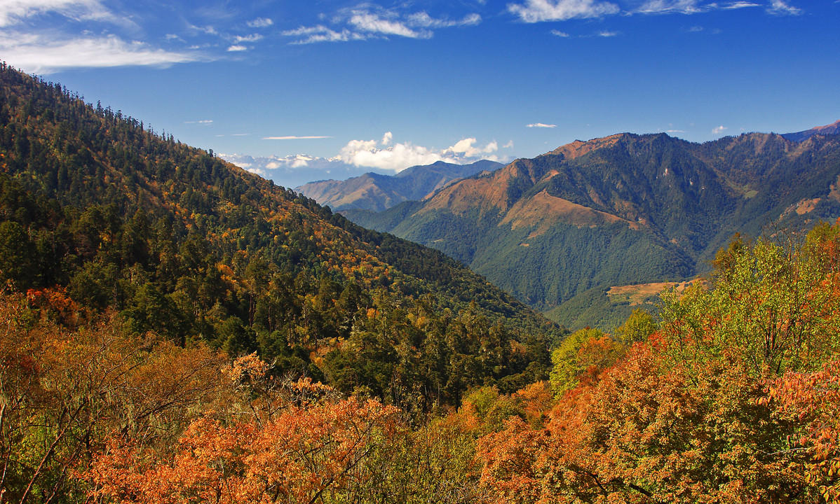 Best Time to Visit Bhutan| Luxury Bhutan tours