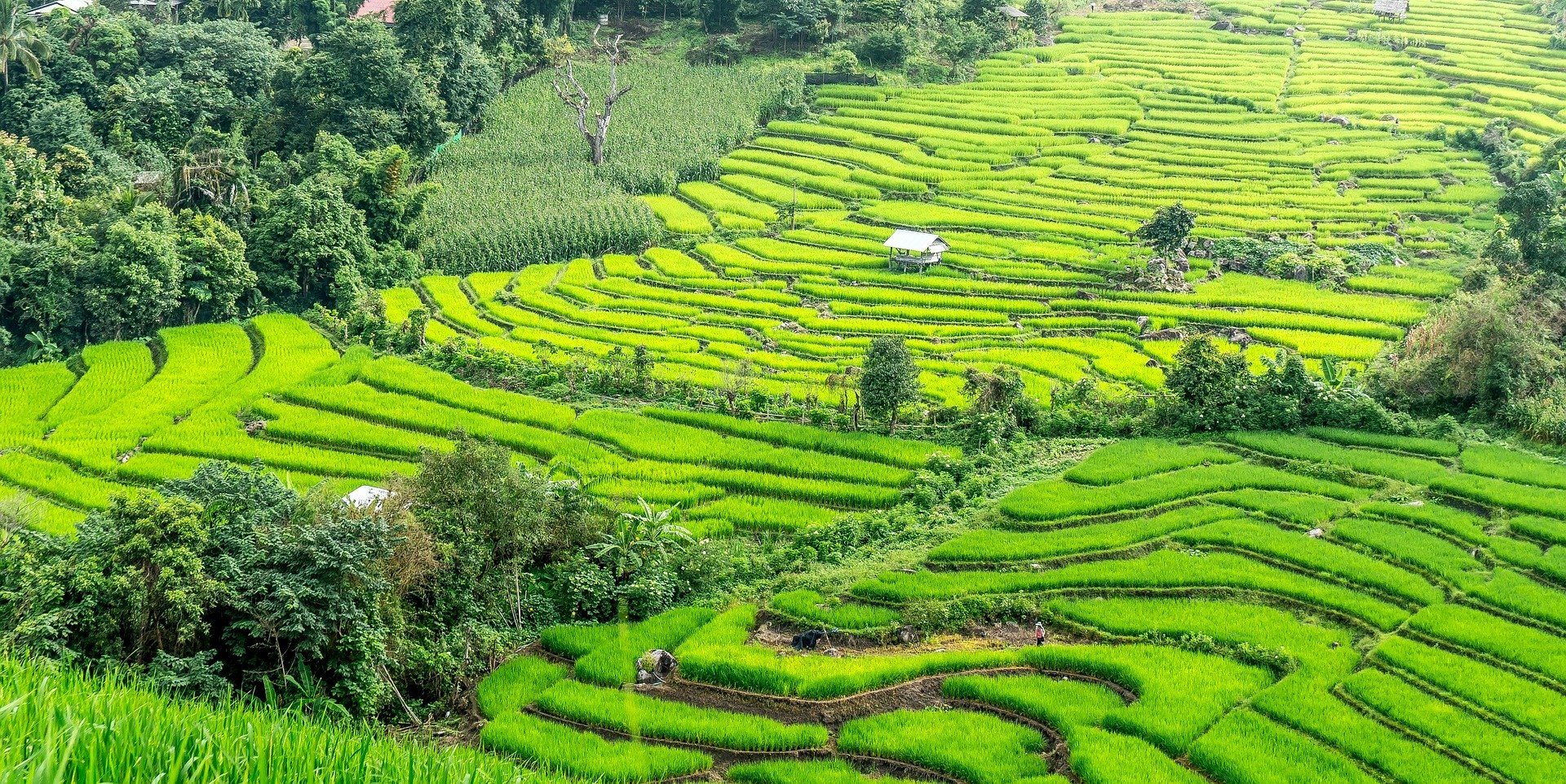 Exploring Thailand's Hidden Gems: Uncover Secret Destinations with ...