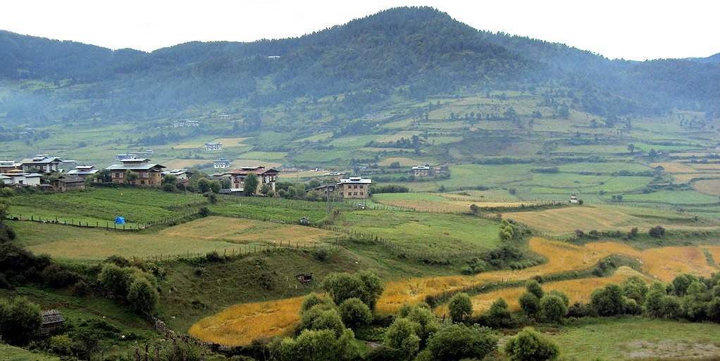 Ultimate Guide to Family Travel in Bhutan: Tips, Best Times & Activities