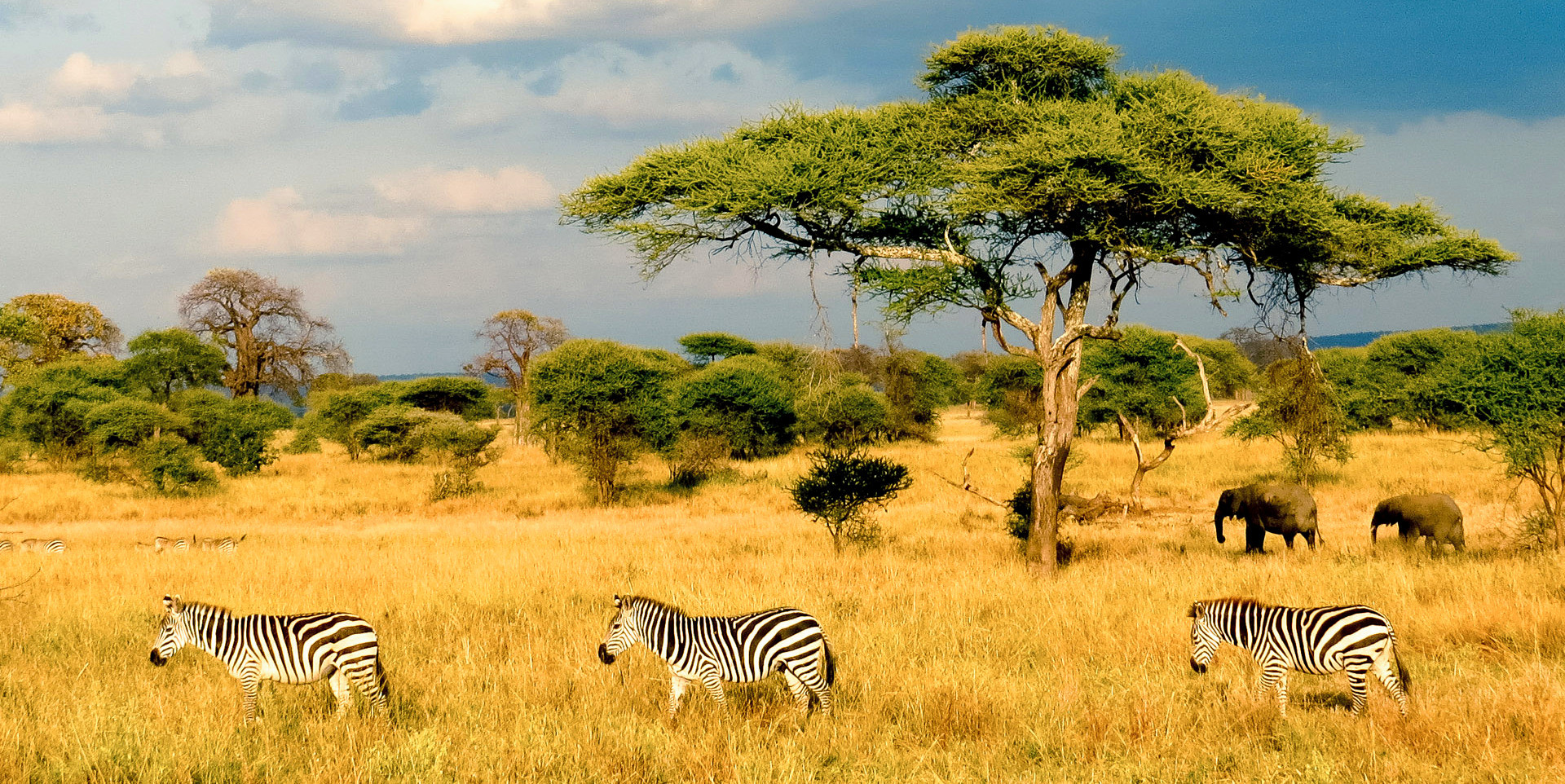 Must Visit Places in Kenya: Top Safari Destinations & Cultural Gems