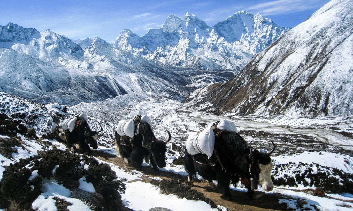5 Best High Pass Trekking in Nepal