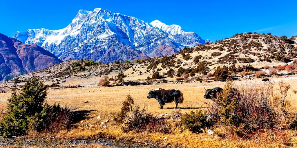 Explore Nepal's Protected Areas: Conservation Zones, Wildlife Reserves ...