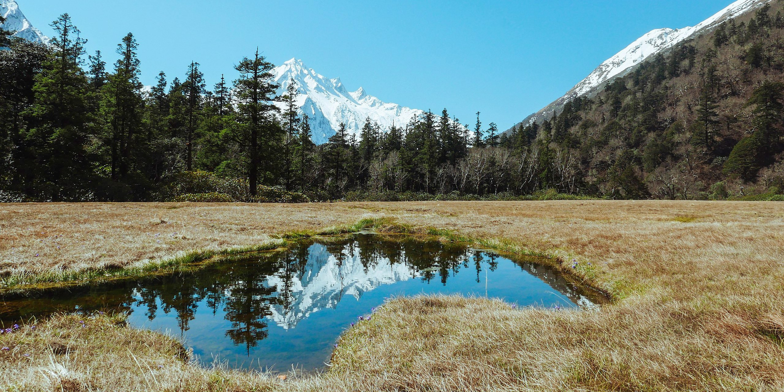 Explore Nepal's Protected Areas: Conservation Zones, Wildlife Reserves ...