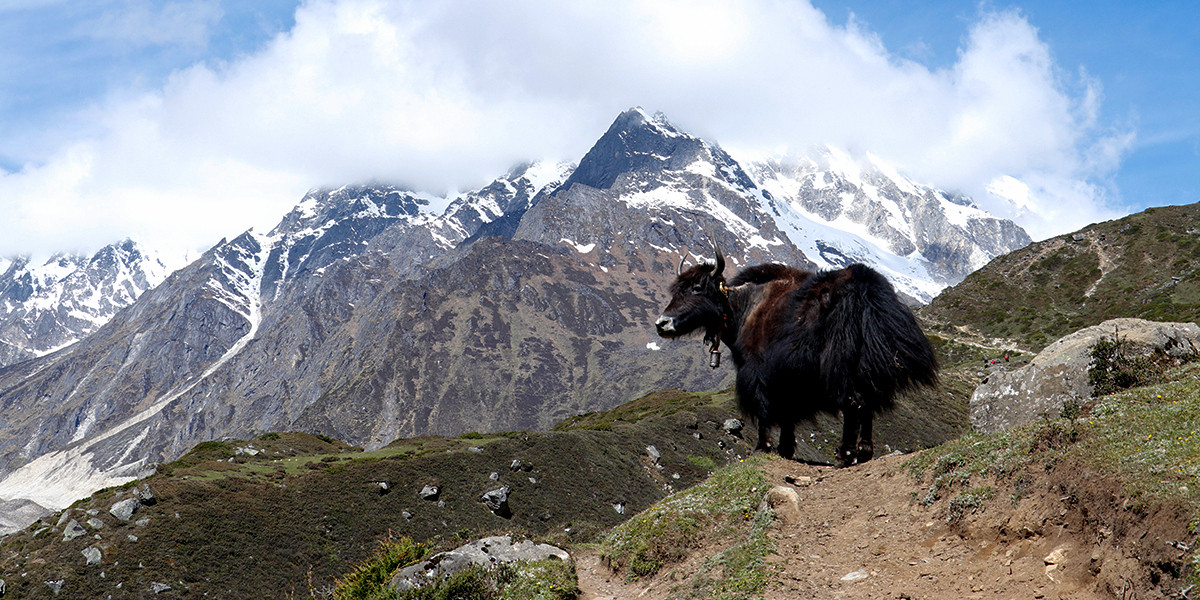 Explore Nepal's Protected Areas: Conservation Zones, Wildlife Reserves ...