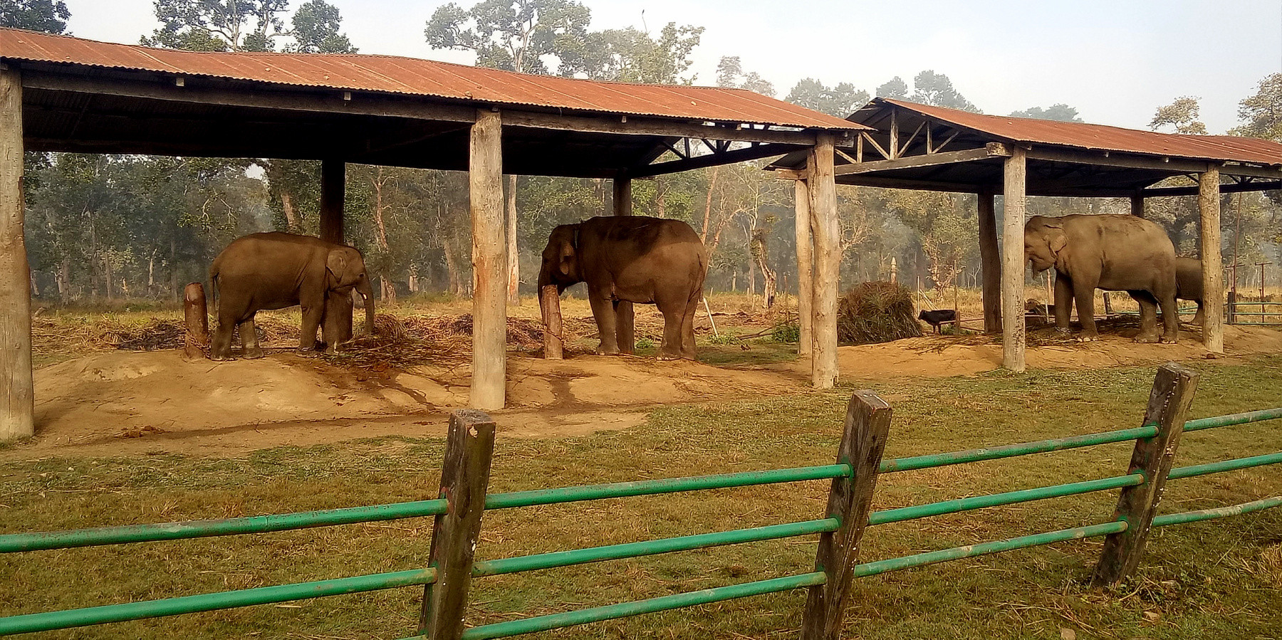 Explore Chitwan: Top Activities & Cultural Experiences in Nepal's ...