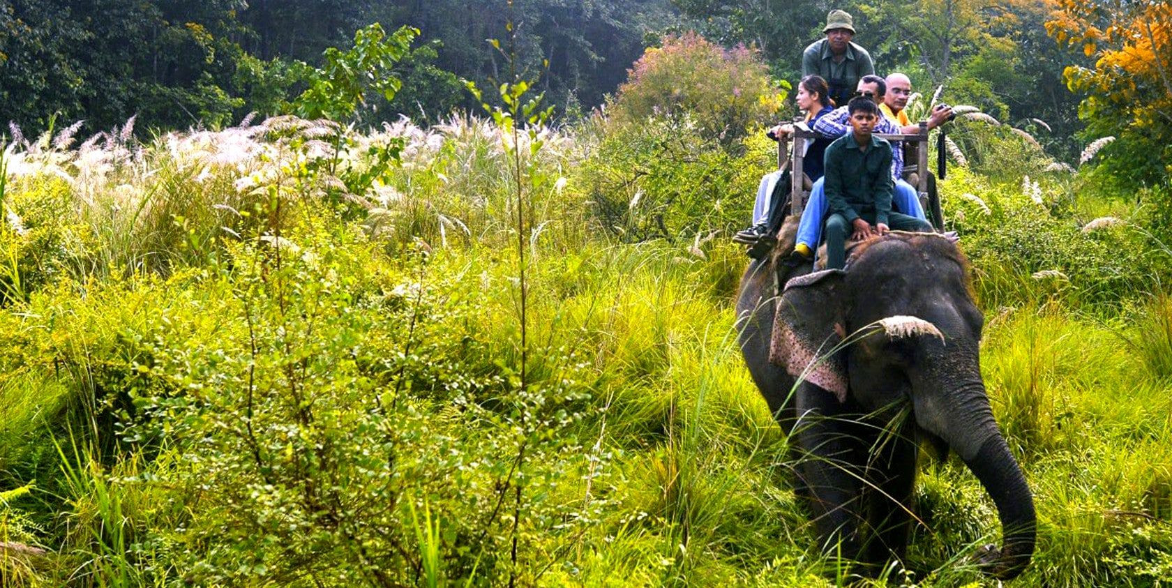Explore Chitwan: Top Activities & Cultural Experiences in Nepal's ...