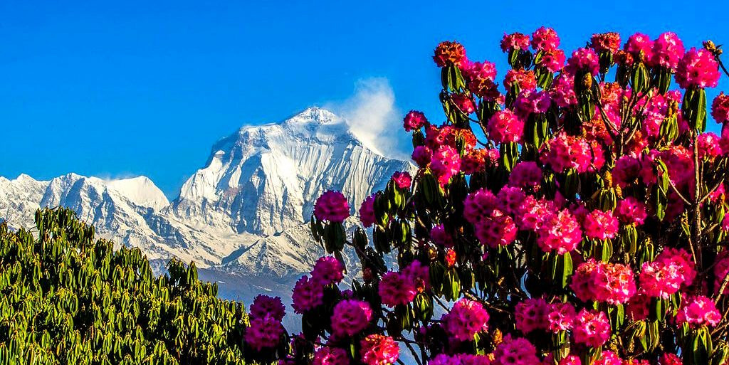 Explore the Diverse Weather and Climate of Nepal: A Seasonal Guide